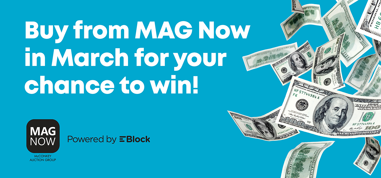 Digital Auctions - MAG